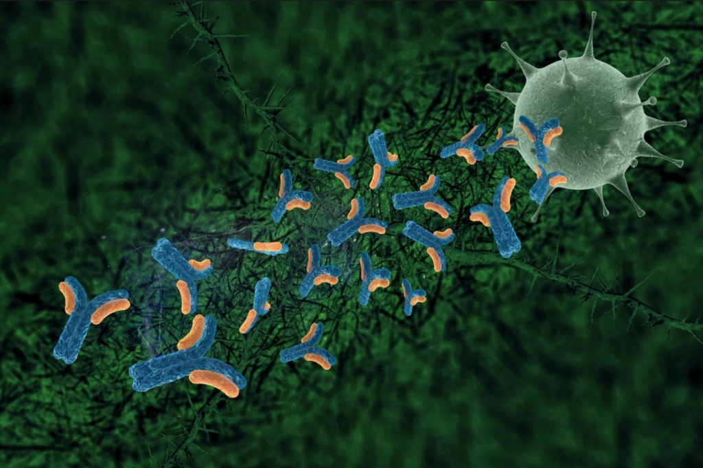 Qué son las Inmunodeficiencias Primarias - Fumeni